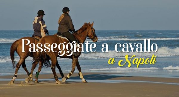 The best horse riding in Naples