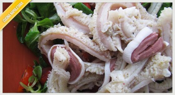 Recipe of the tripe to the salad