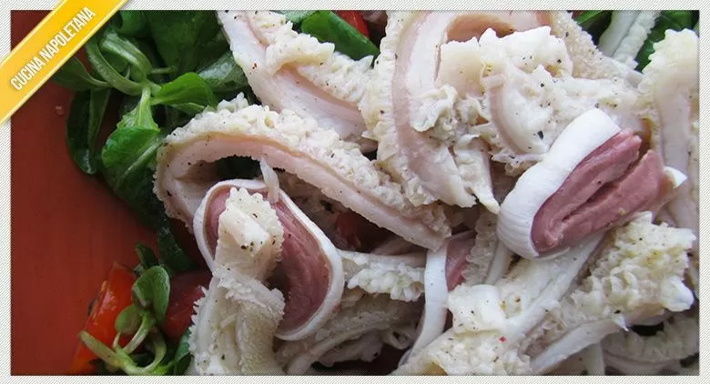 Recipe of the tripe to the salad