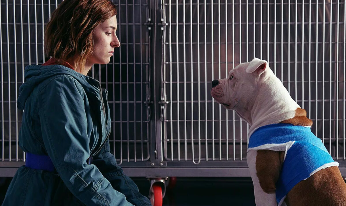 Blanca, the rerun June 25, 2023. Advances, plot and cast