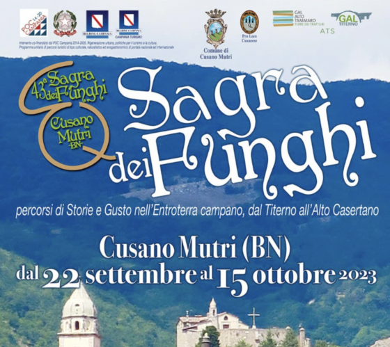 Mushroom Festival in Cusano Mutri, the famous gastronomic event returns