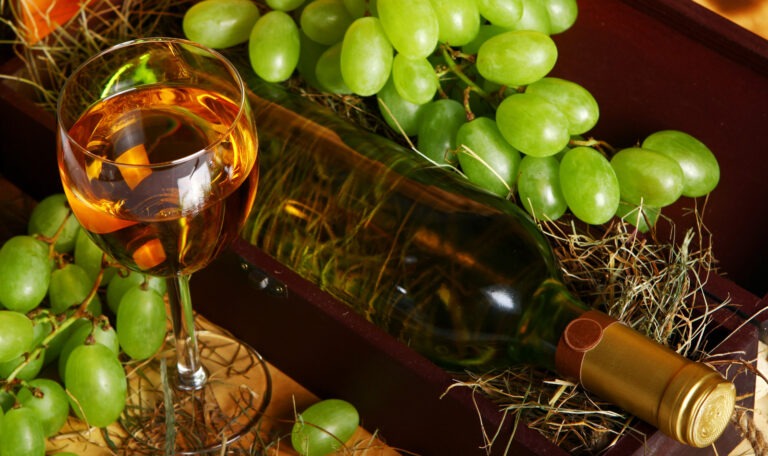 Brumalia 2023 in Casal Velino, ancient Roman celebrations, wine and ...