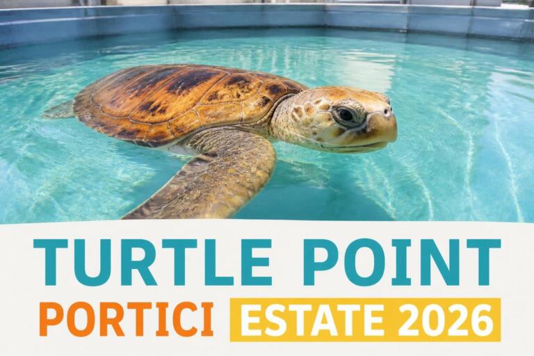 Turtle Point Portici: Summer 2026 Hours and Tickets for the Turtle Center